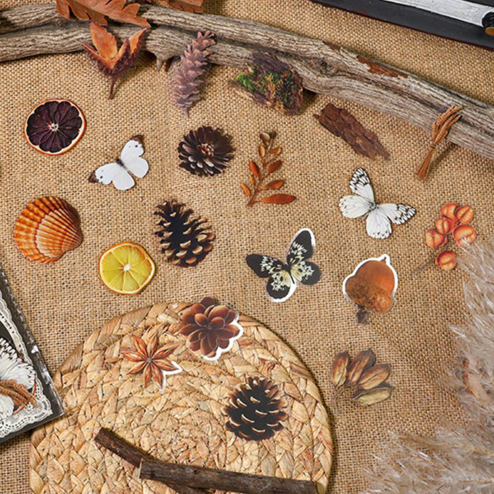 Flower Specimen Stickers for Scrapbooking – ViVi Stationery