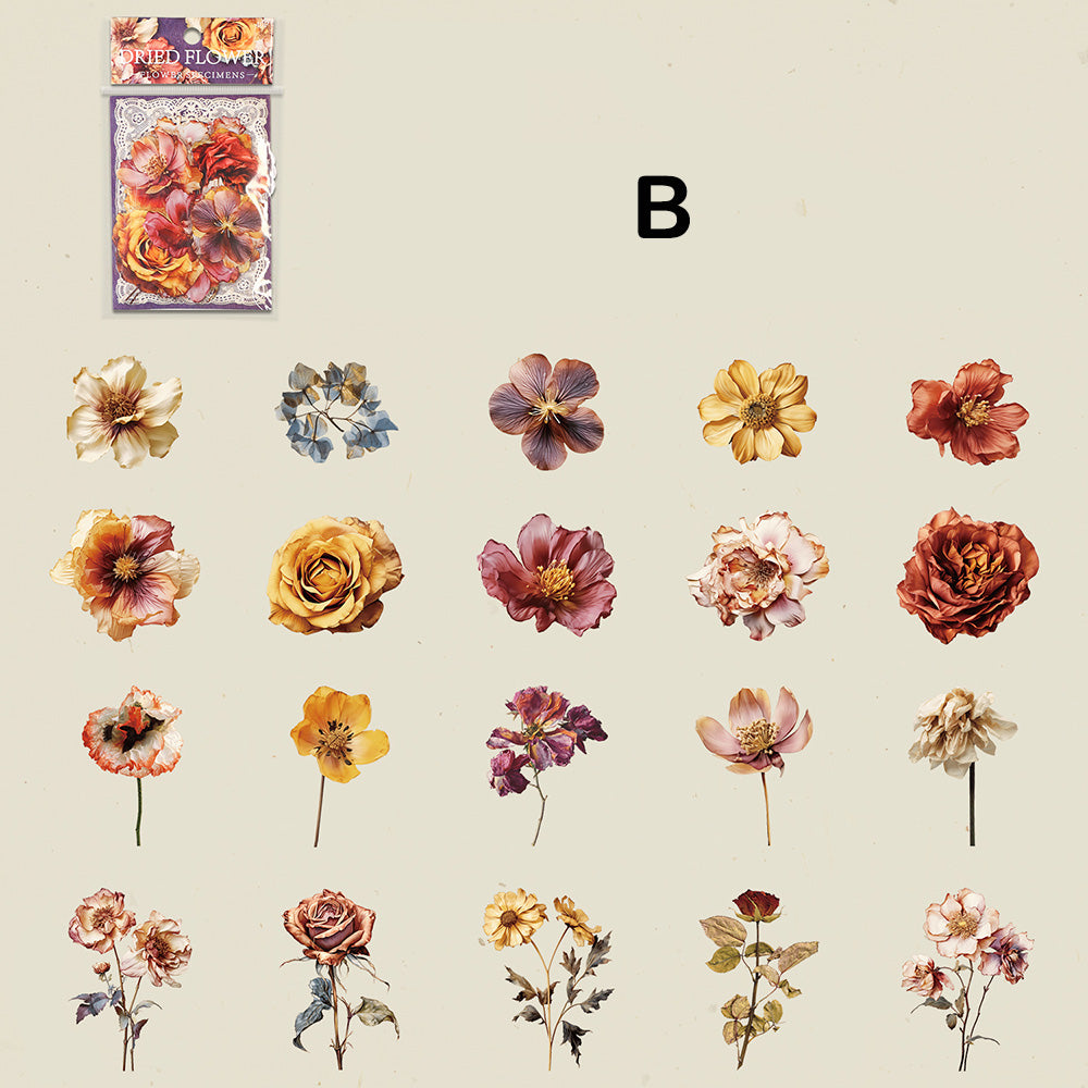 Flower Specimen Stickers for Scrapbooking – ViVi Stationery