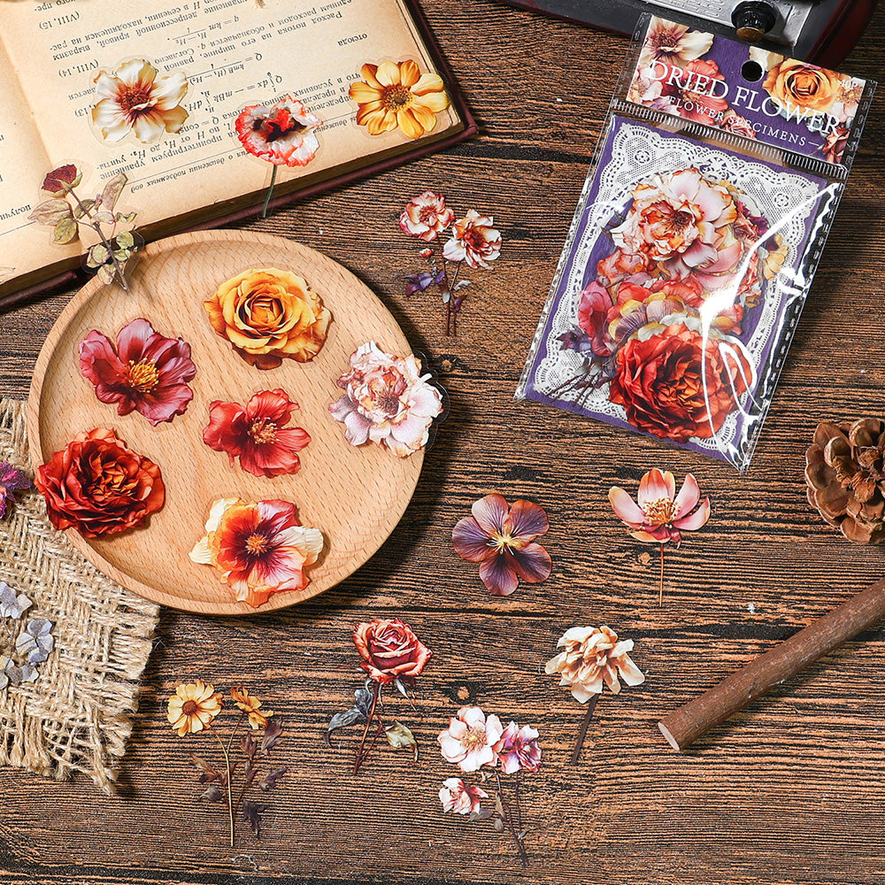 Flower Specimen Stickers for Scrapbooking – ViVi Stationery