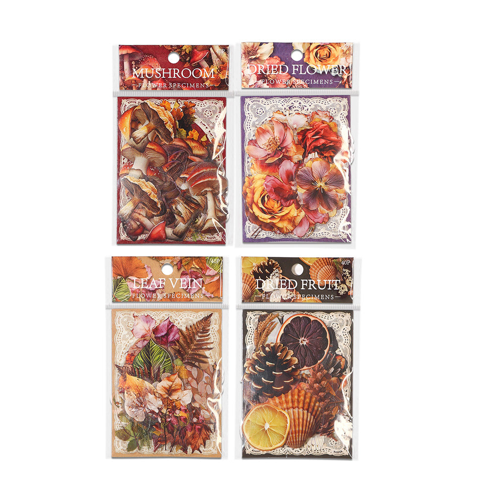 Flower Specimen Stickers for Scrapbooking – ViVi Stationery