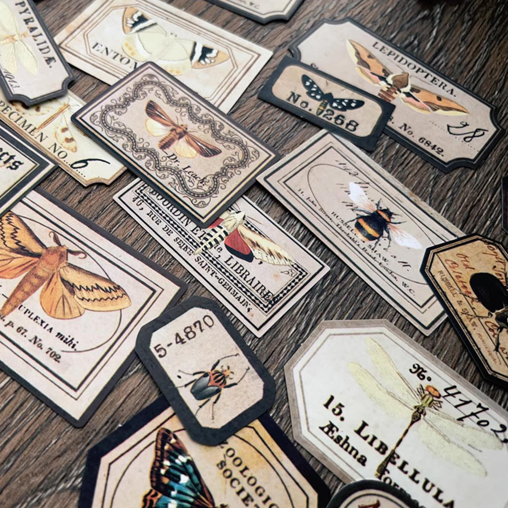 Insect Labels Sticker – ViVi Stationery