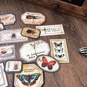 Insect Labels Sticker – ViVi Stationery