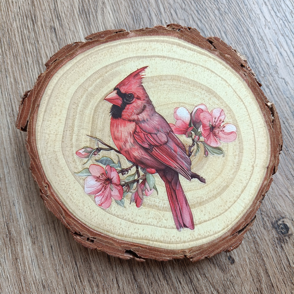 Red Cardinal Rub On Stickers 3 Sheets – ViVi Stationery