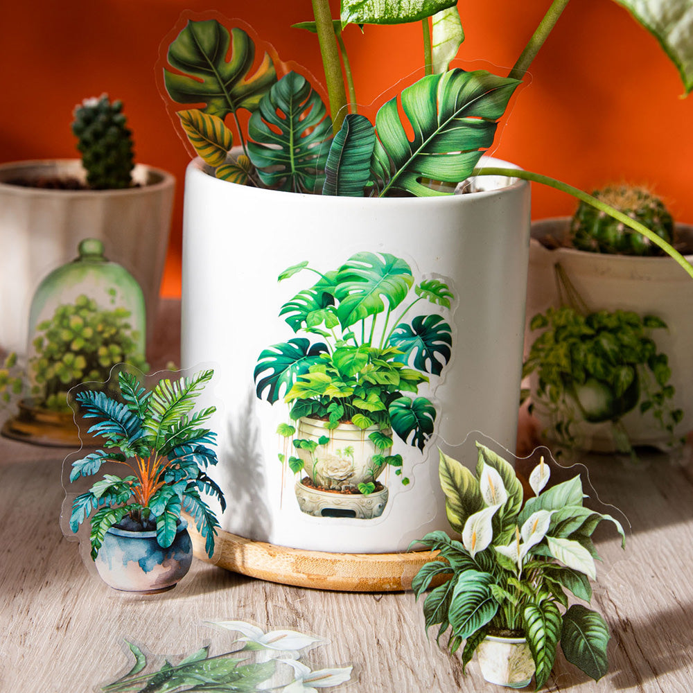 Tropical Rainforest Plant Stickers – ViVi Stationery
