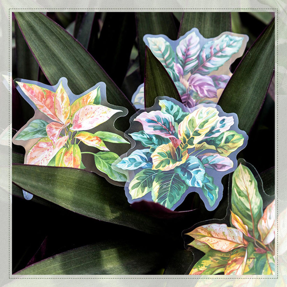 Tropical Plant Sticker – ViVi Stationery