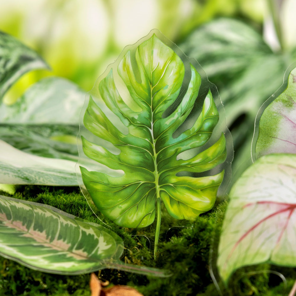 Tropical Plant Sticker – ViVi Stationery