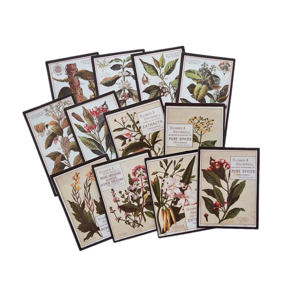 Vintage Plant Stickers for Junk Journal and Scrapbooking – ViVi Stationery