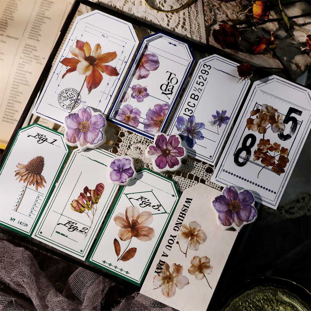 Dried Plant Rub On Sticker – ViVi Stationery