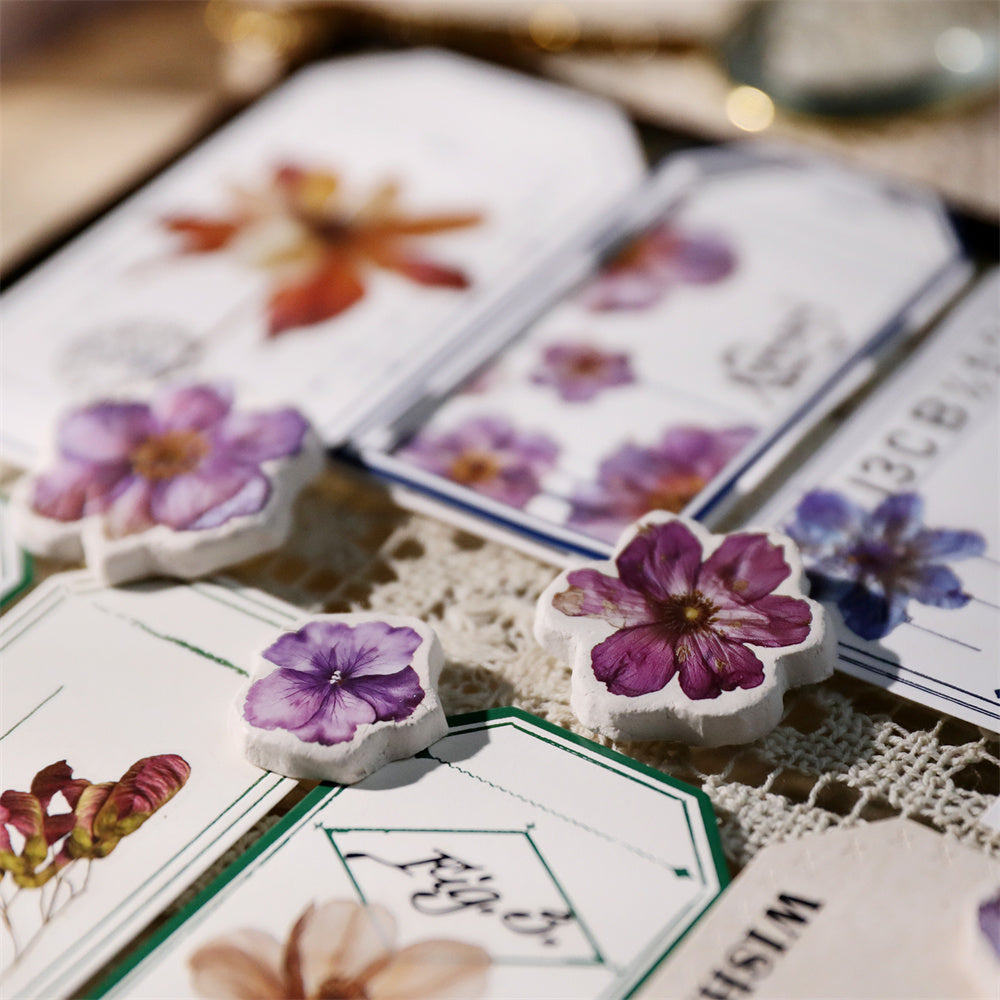 Dried Plant Rub On Sticker – ViVi Stationery