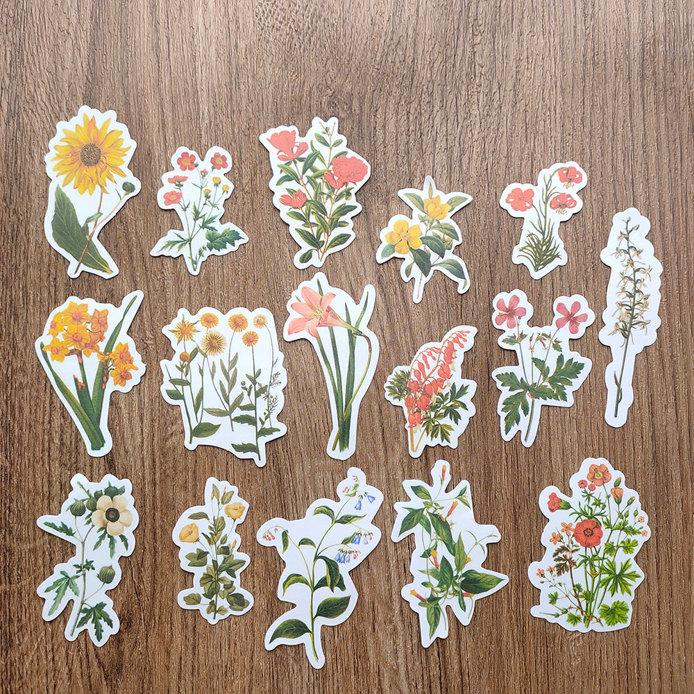 Vintage Botanical Vellum Flower Stickers for Scrapbooking Journal ...