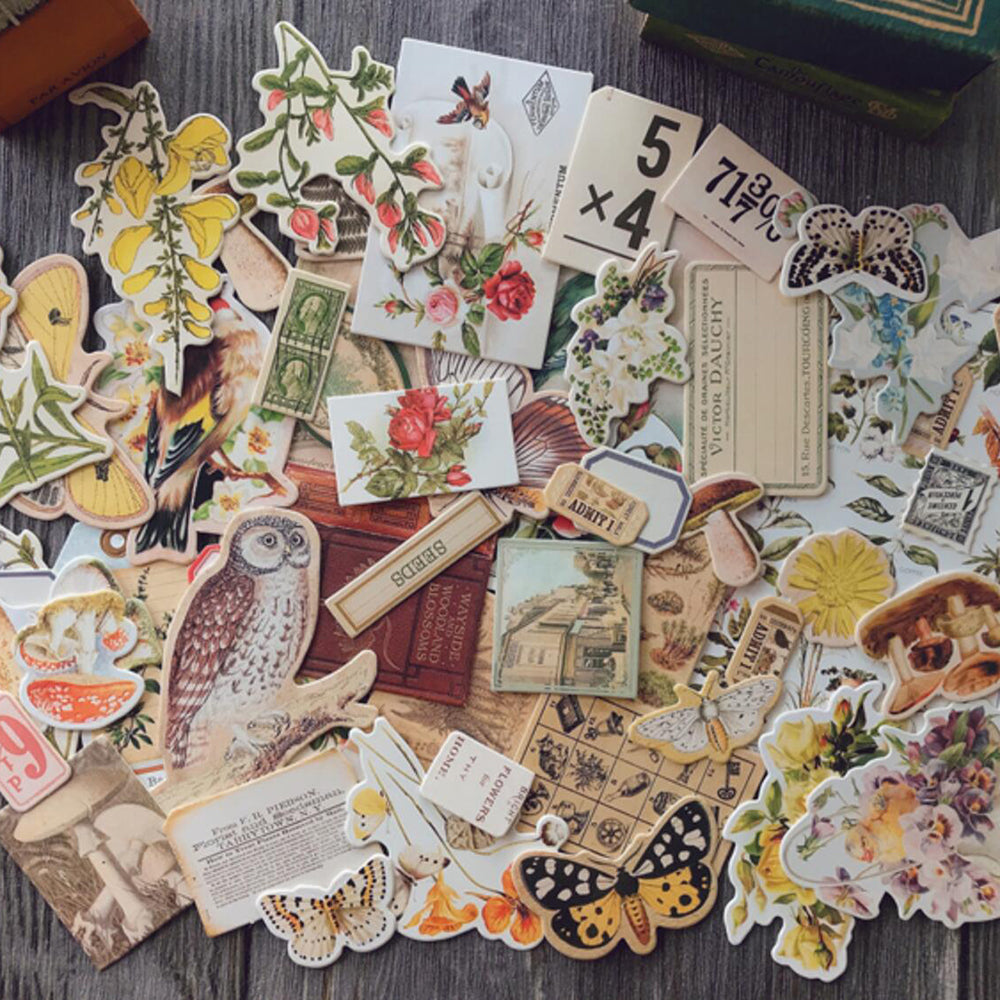 ZX Vintage Botanical Scrapbook Papers for Junk Journal and Scrapbooking ...