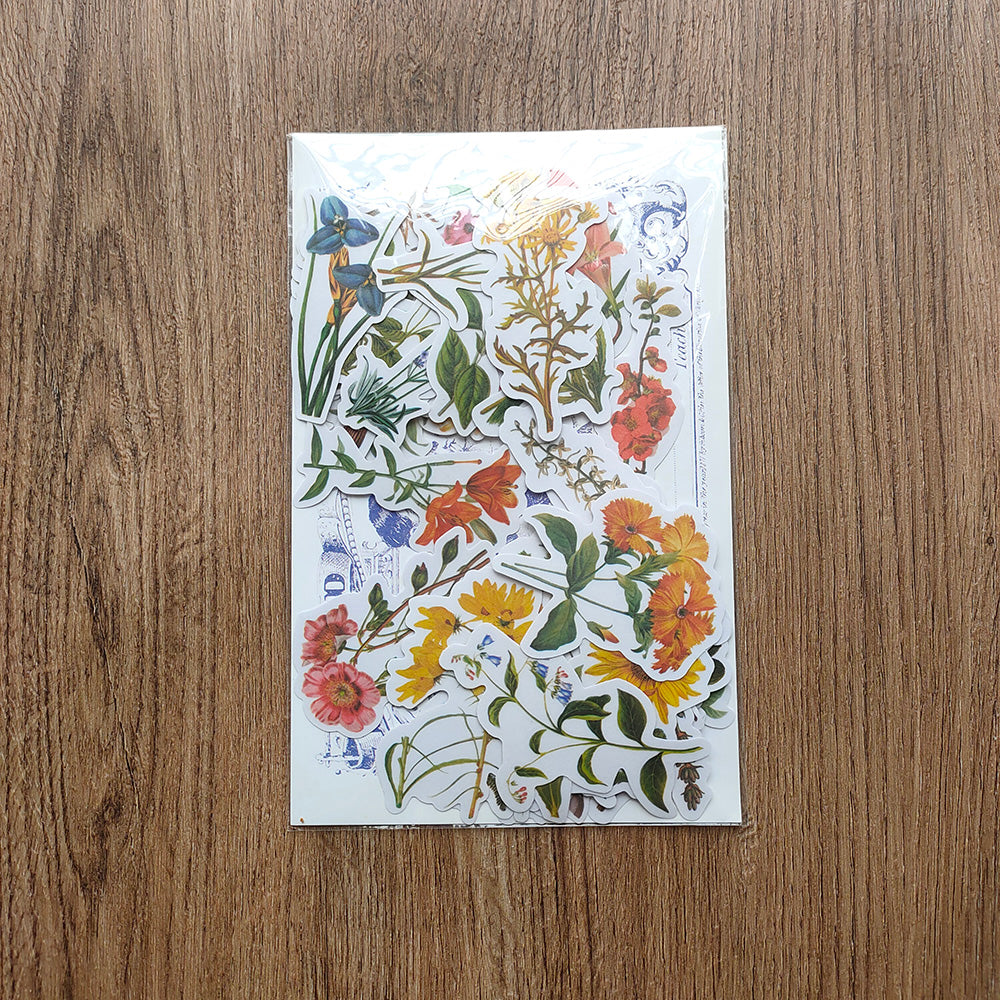 Vintage Botanical Vellum Flower Stickers for Scrapbooking Journal ...