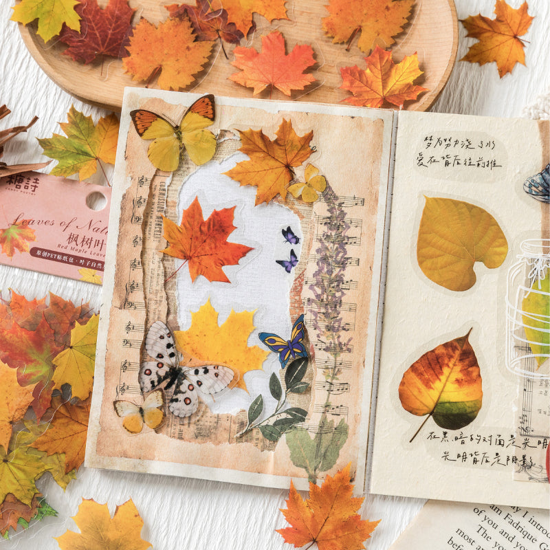 Nature Book Series Leaf Stickers 120PCS for Scrapbook and Junk Journal ...