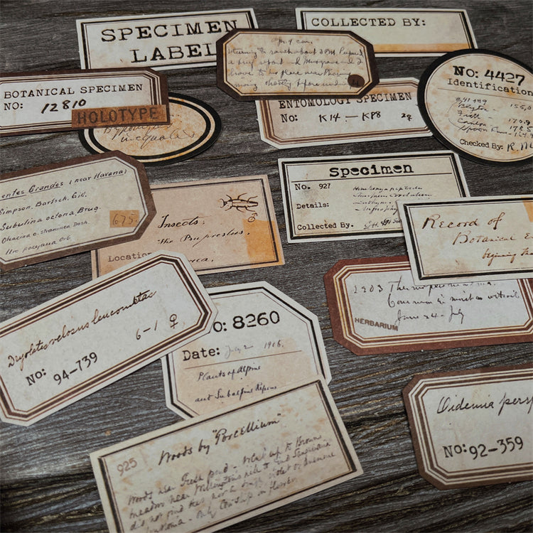 Vintage Plant Specimens Label Stickers for Scrapbooking and Junk ...