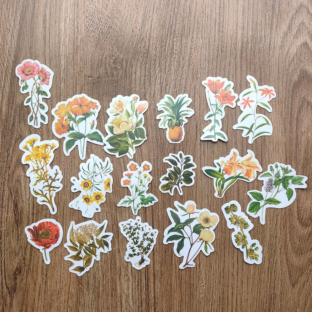 Vintage Botanical Vellum Flower Stickers for Scrapbooking Journal ...