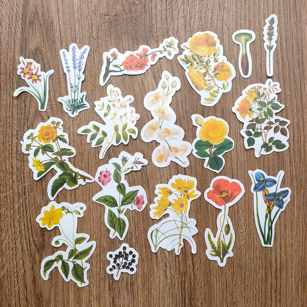 Vintage Botanical Vellum Flower Stickers for Scrapbooking Journal ...